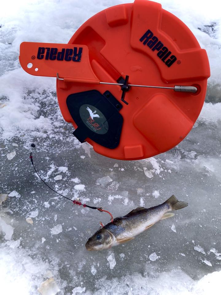 Tamotsu Ice Fishing Rig | TSURU
